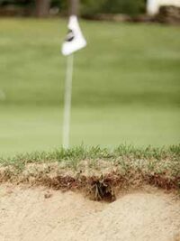 Photos - Hooper Golf Course